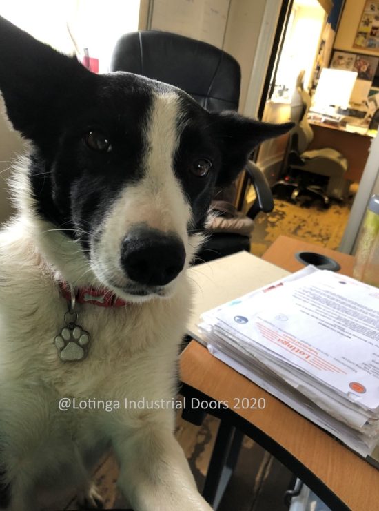 Lotinga In Lockdown - Coping with Covid-19 Measures