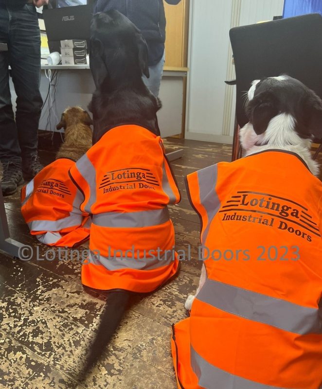 Lotinga Doors Doggies - A look at our Canine Staff Unit